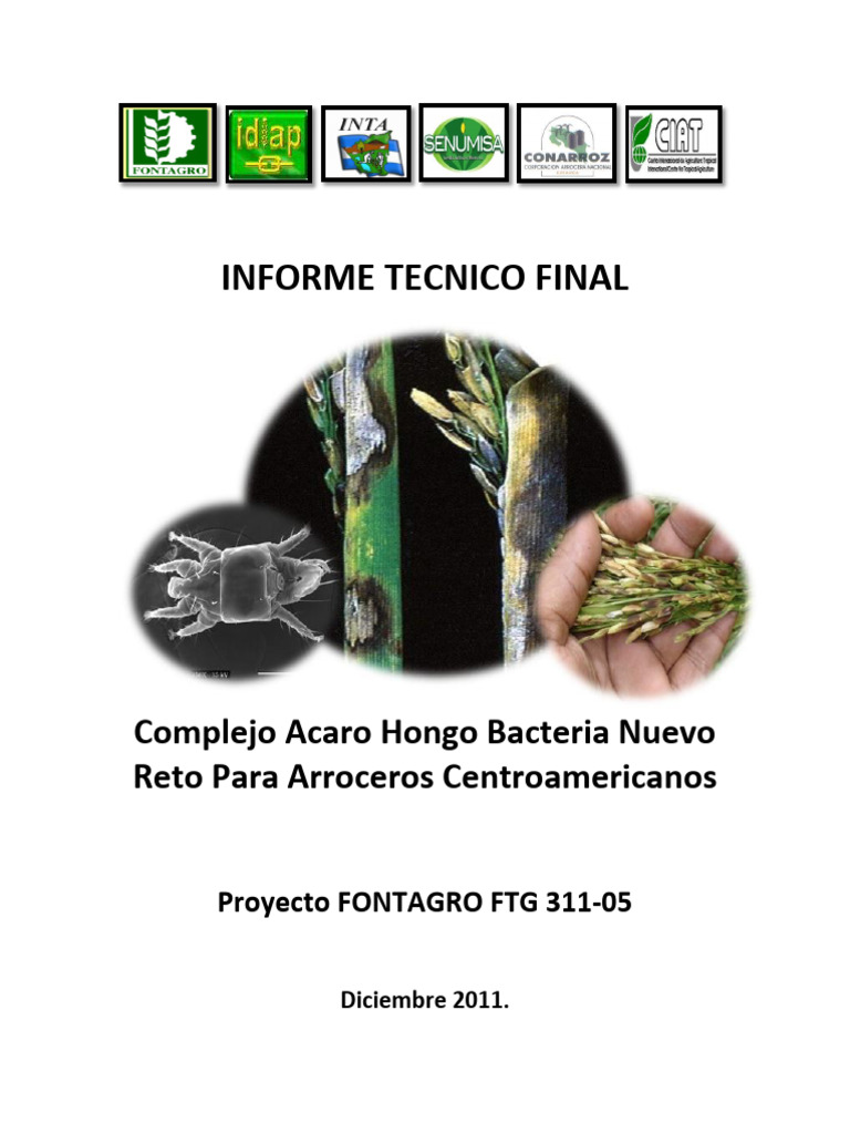 Infotec Final 05 311 | PDF