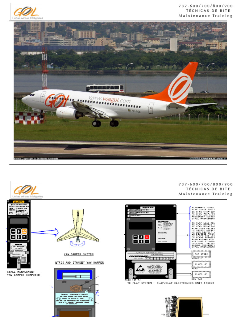 Curso Do PSEU (Sergio) | PDF
