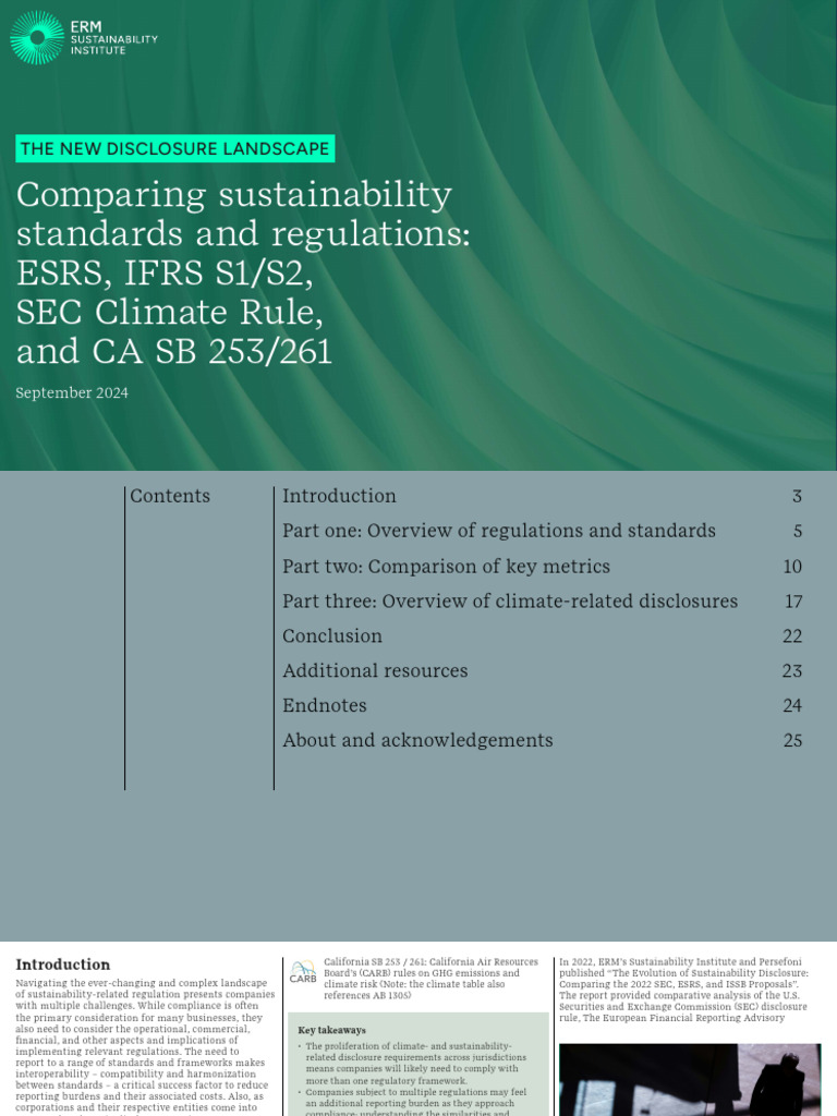 Sustainability Standards Comparison | PDF | International Financial ...