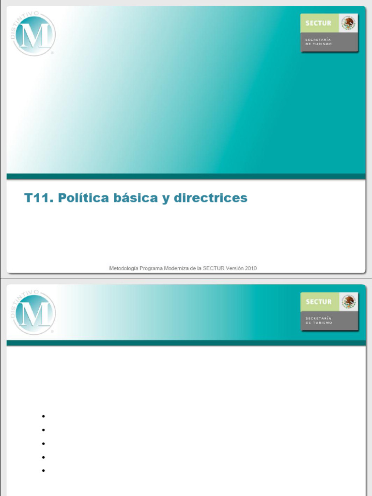 T11. Politica Básica y Directrices | PDF