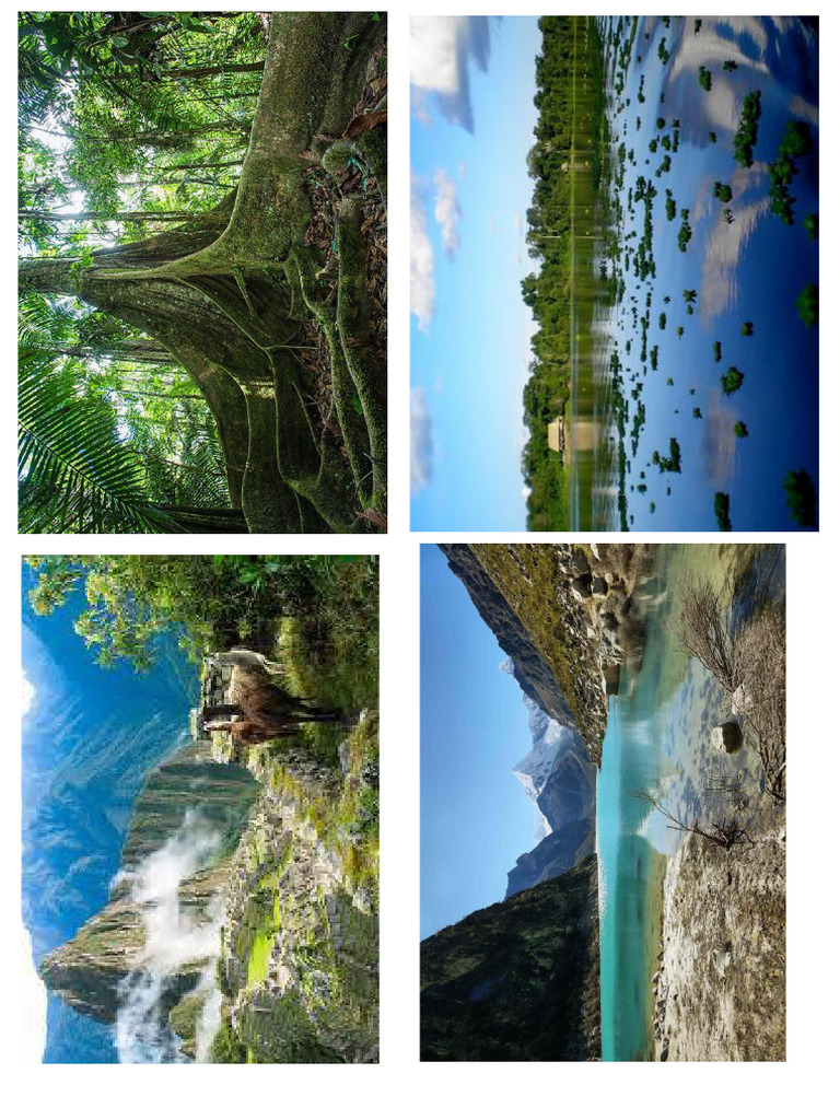 FFFFFFFFFFFFFFFFF | PDF