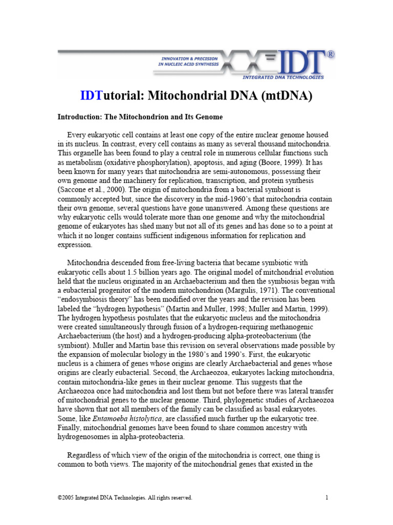 Mitochondrial_DNA | PDF