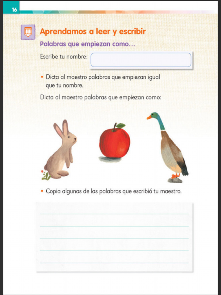 rabbit spanish worksheet | PDF