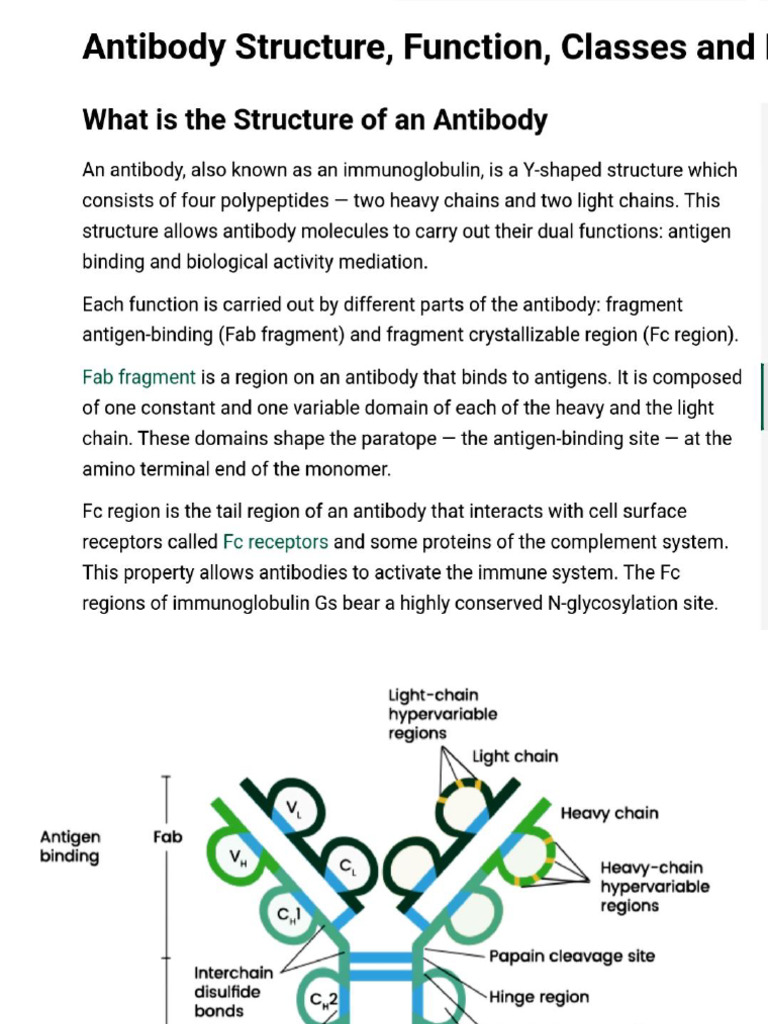 Types of Ab | PDF