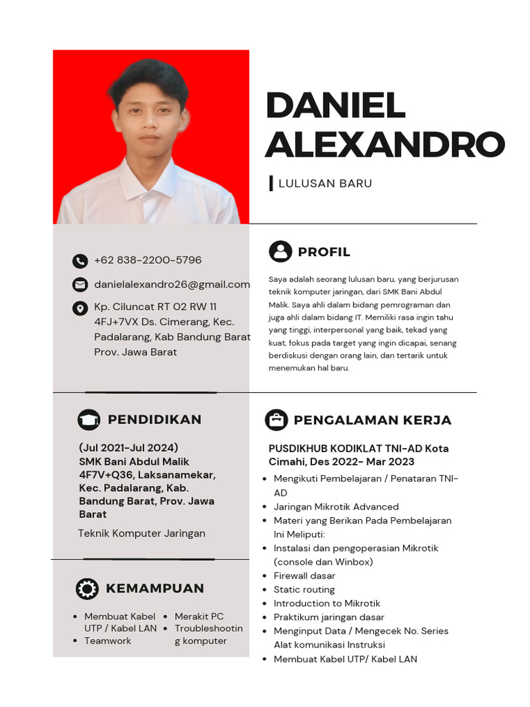 CV Daniel Alexandro | PDF