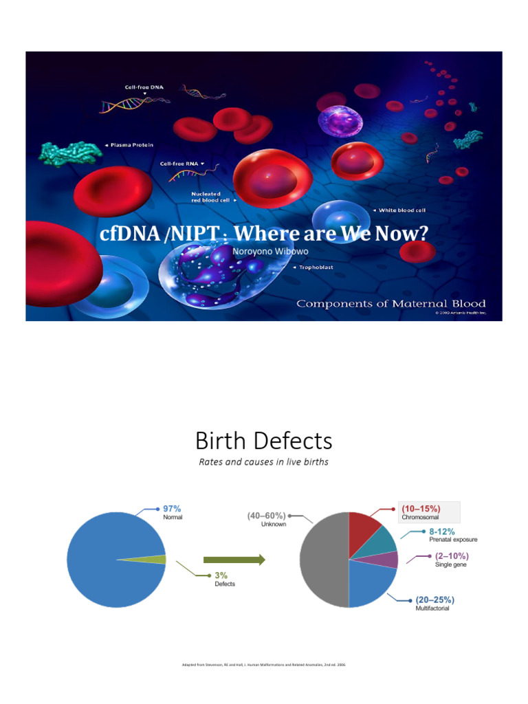 DR Bowo-Cfdna Nipt Where Are We Now | PDF
