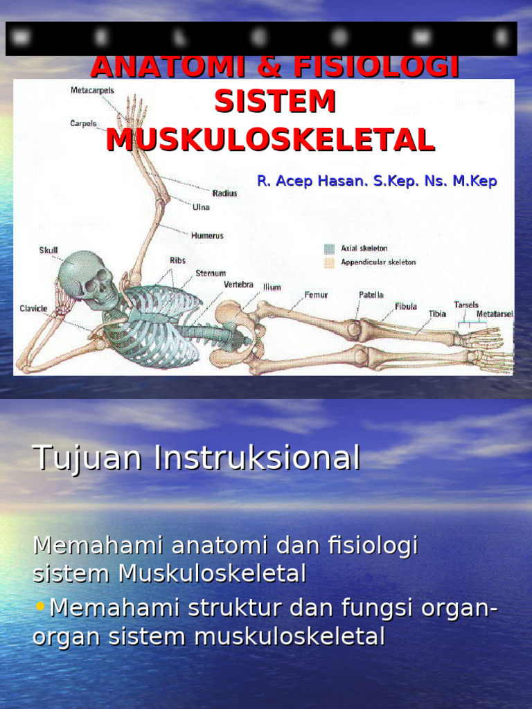 Kuliah 3 Anfis Muskulo BR Rev | PDF