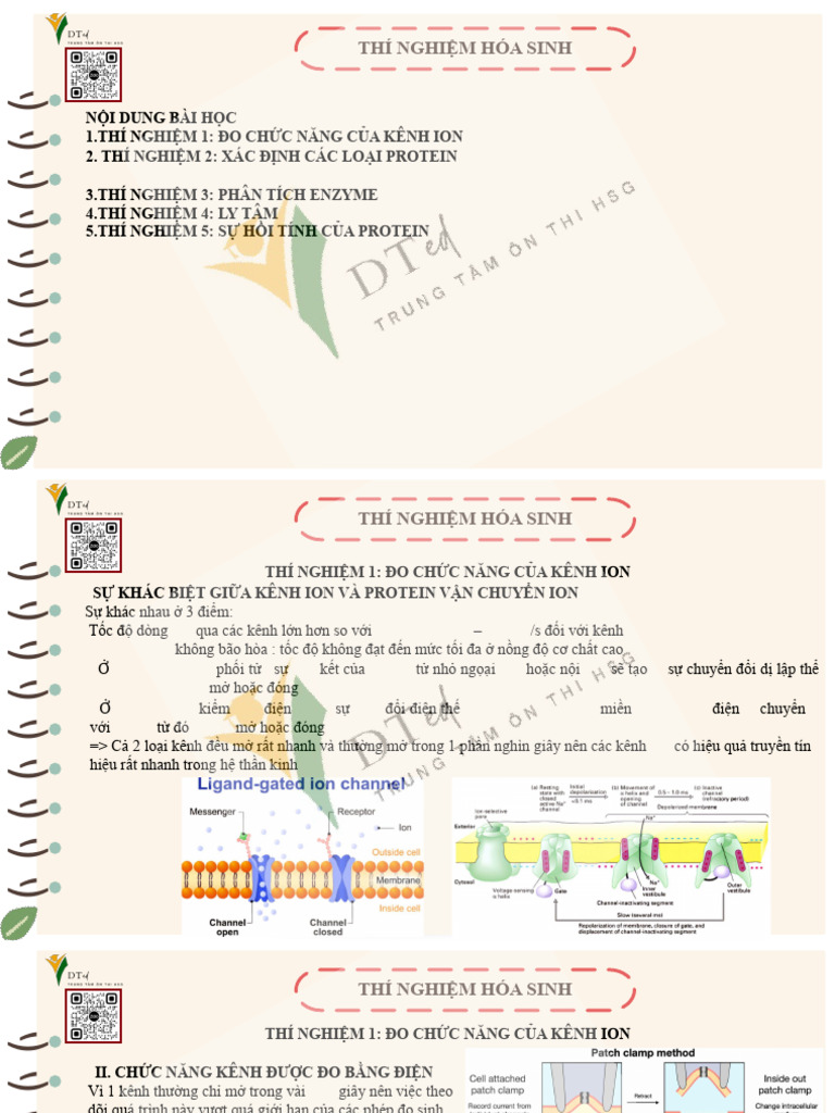 DTed - Gold B1 - Thí nghiệm hóa sinh 1 | PDF