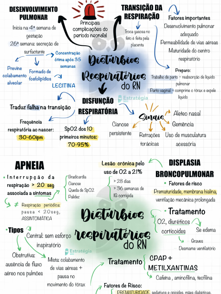 Mapa Mental - DRRN | PDF