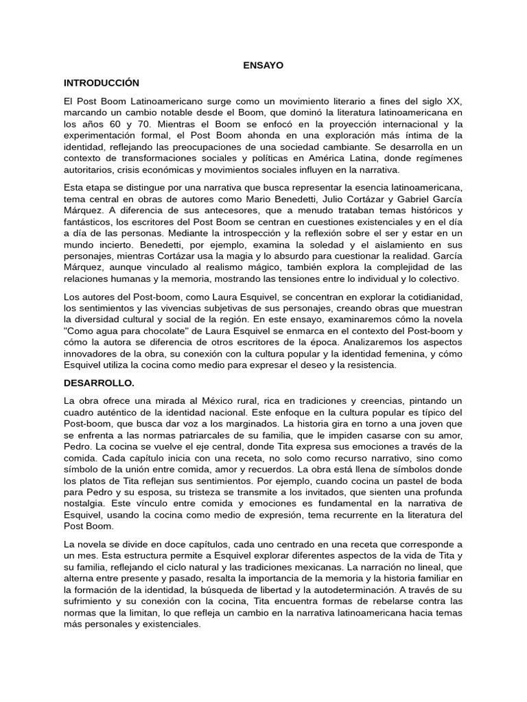 Ensayo de post.boom | PDF