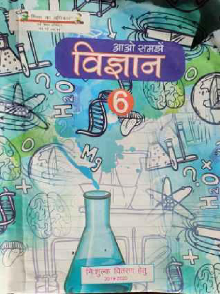 Science Class 6 | PDF