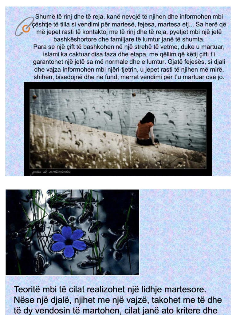 Dashuria Dhe Fejesa | PDF