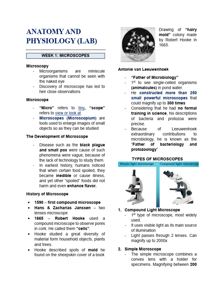 Anaphy Lab Prelims | PDF