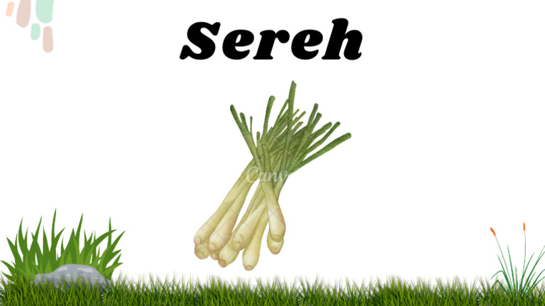 Sereh | PDF