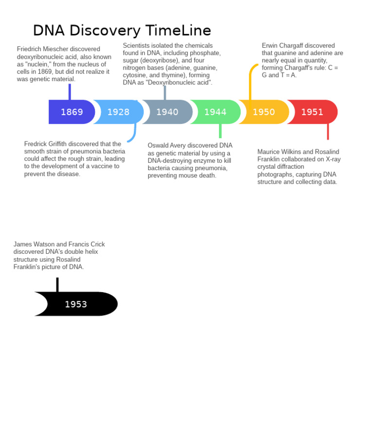 DNA Timeline | PDF