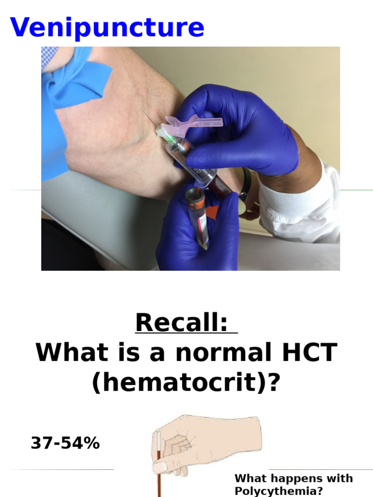 Venipuncture - Class Slides | PDF