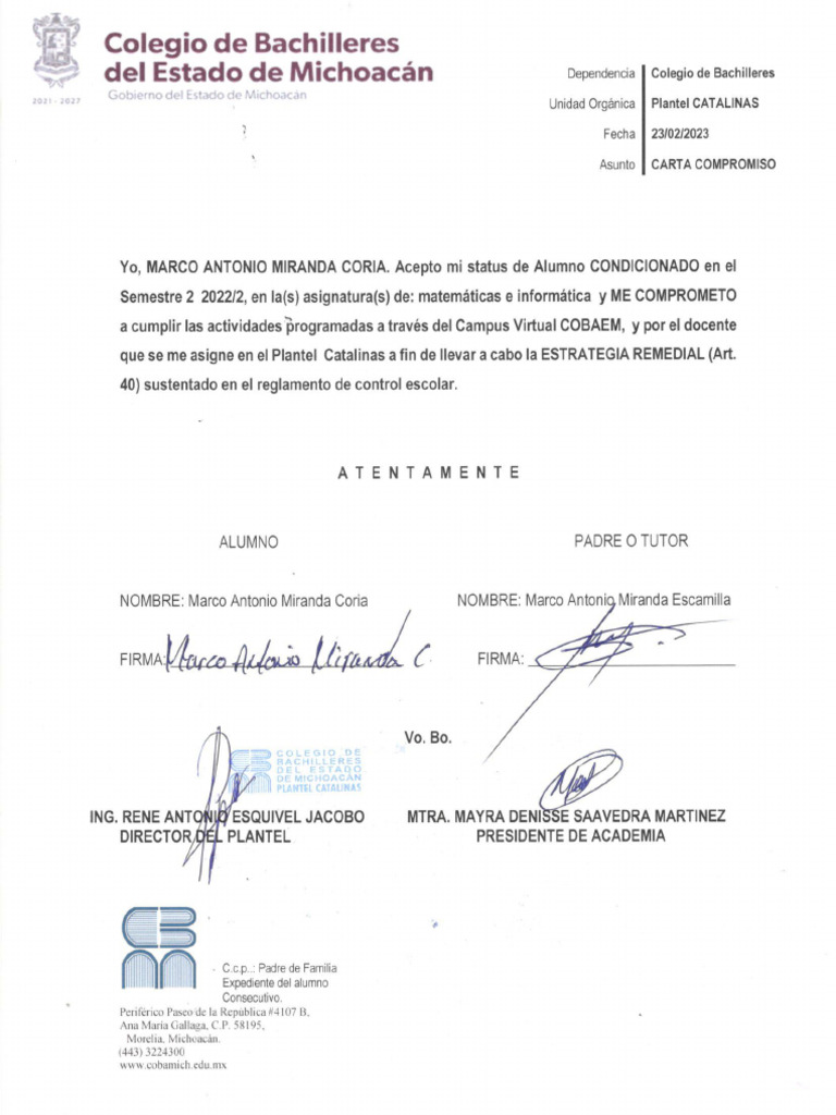 Articulo 40 Marco Miranda Pdf