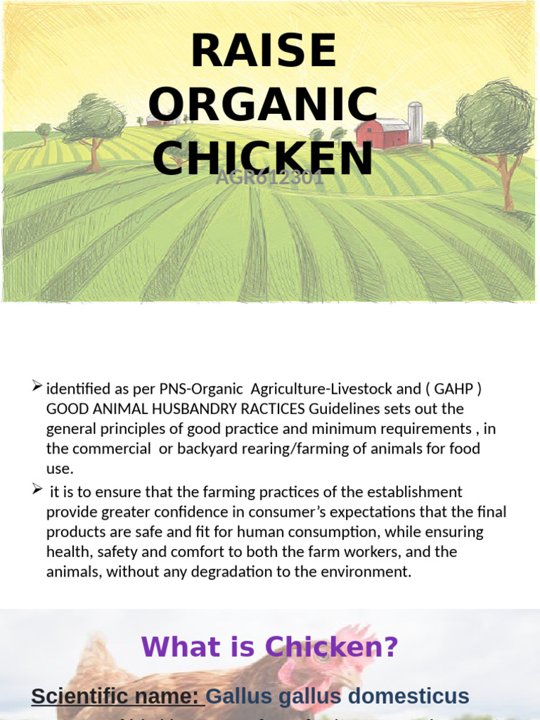 Raise Organic Chicken 240603053217 7b885462 | PDF