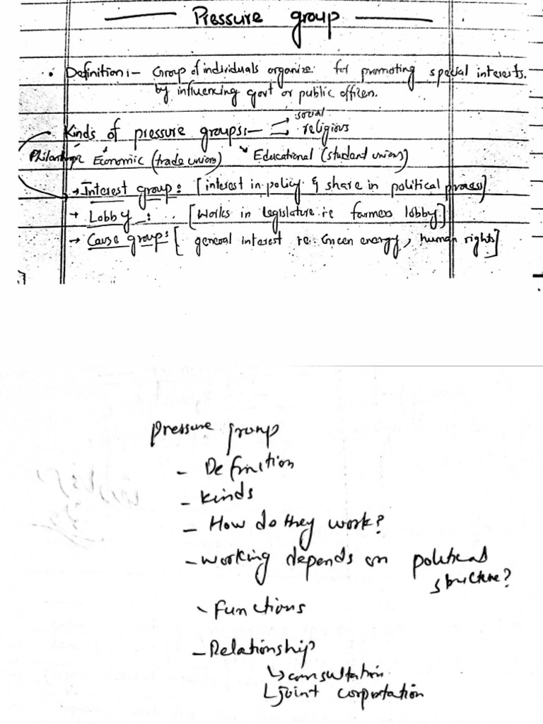 Pressure Groups Short Notes | PDF