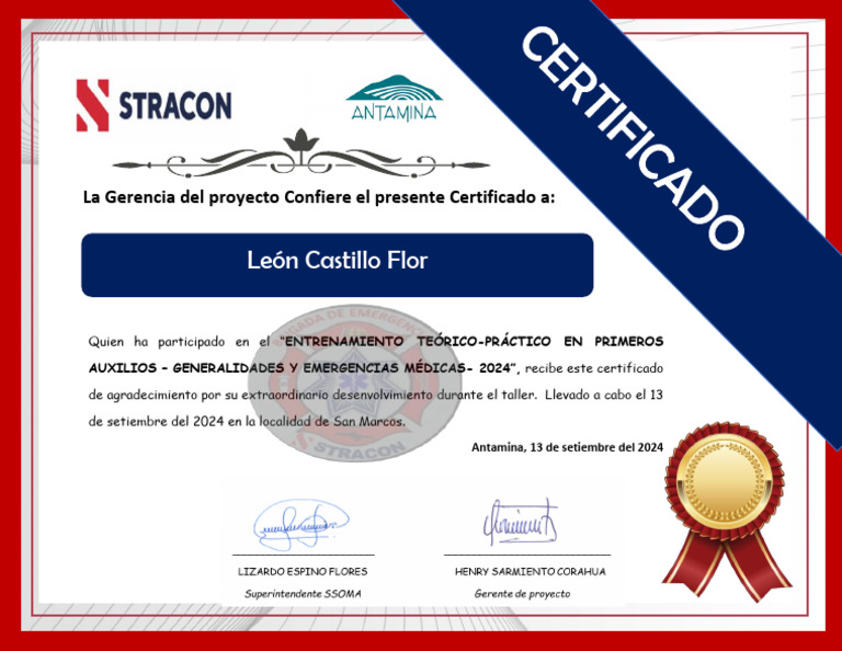 CERTIFICADO DE PARTICIPACION - León Castillo Flor | PDF