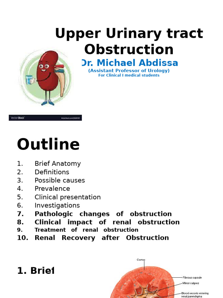 Upper UTI | PDF | Kidney | Self-Improvement