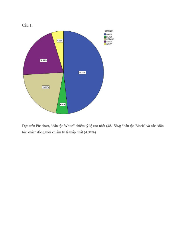 Bài Làm Câu 1 Pie Chart | PDF