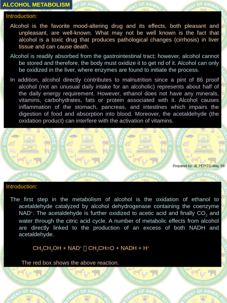 Alcohol Metabolism | PDF