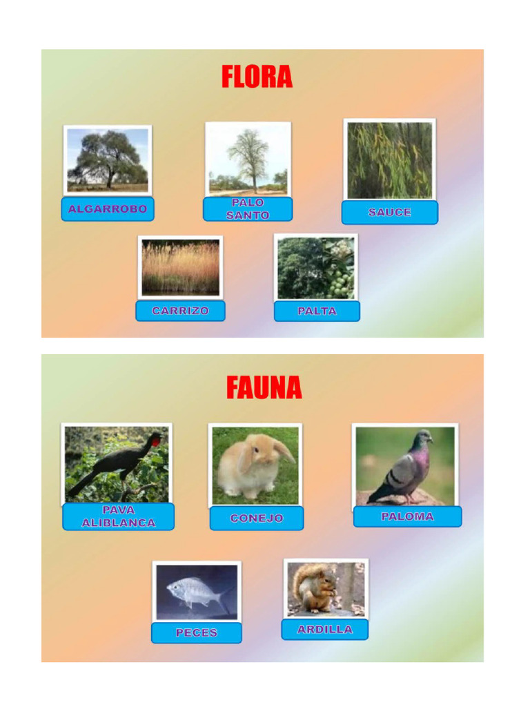 FLORA Y FAUNA - LAMBAYEQUE | PDF