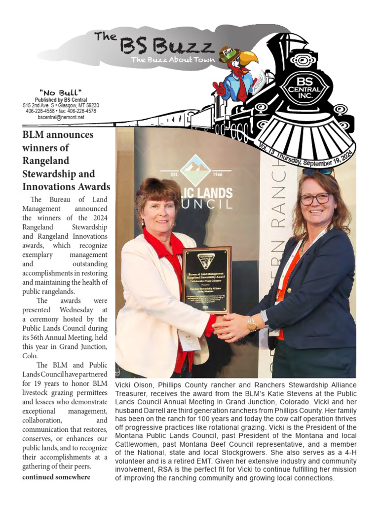 771037126-BS-Buzz | PDF