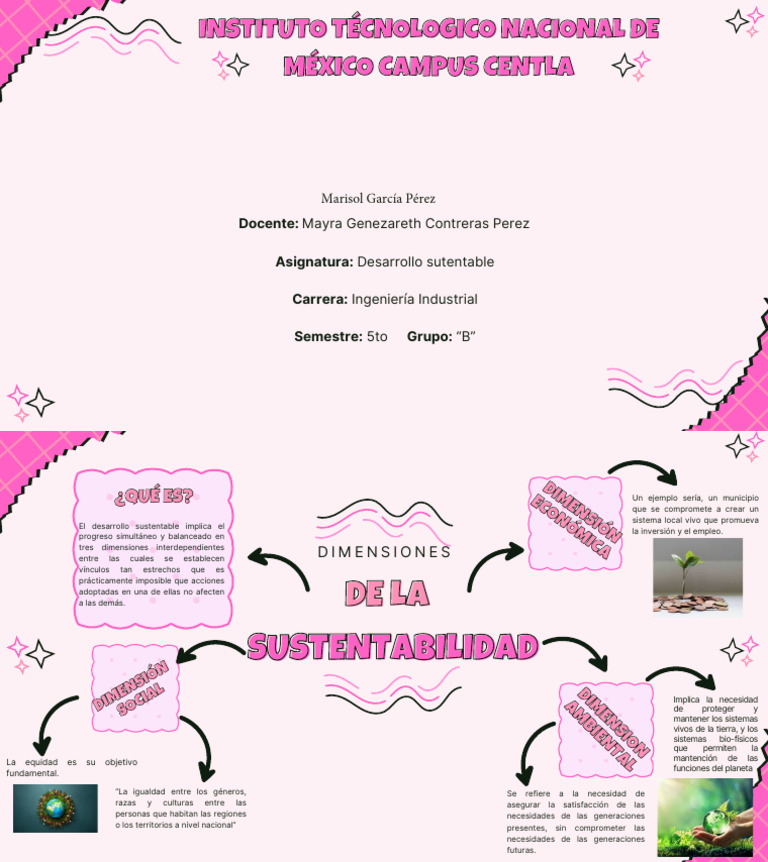 Sustentabilidad: Dimensiones Clave | PDF | Economias