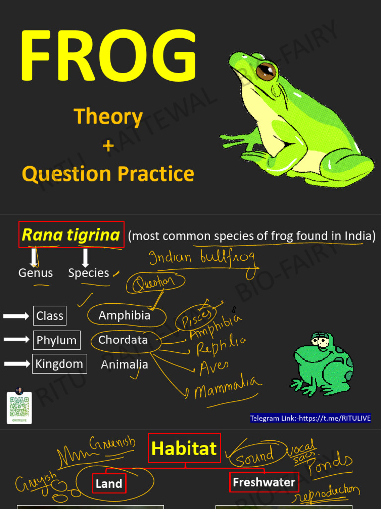 Frog NOTES - Compressed | PDF