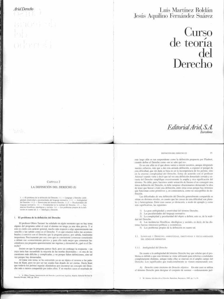 Roldán - TGD - Capítulo II | PDF