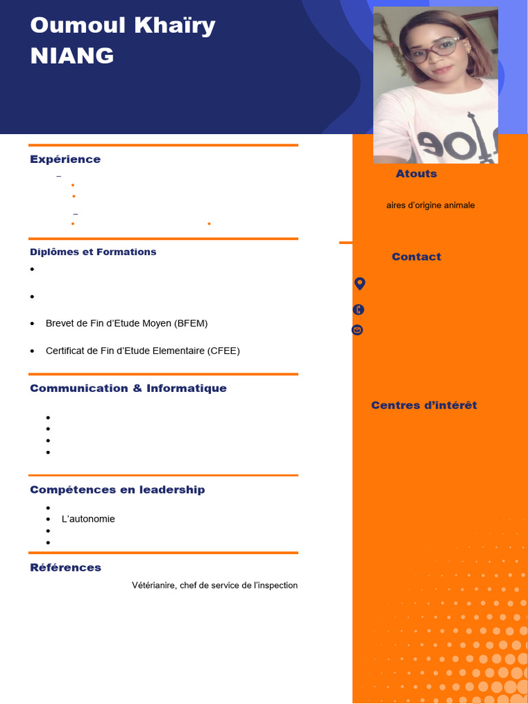 CV Maman Oumou | PDF