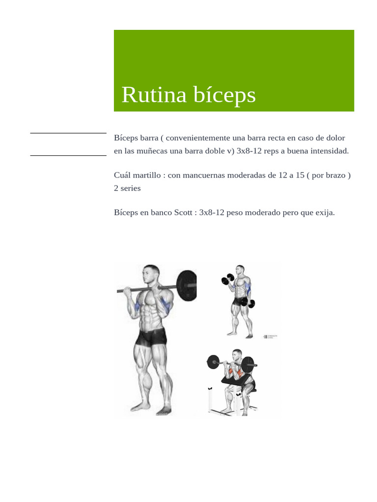 Rutina Básica Biceps | PDF