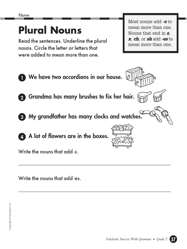 Plural Assessment | PDF