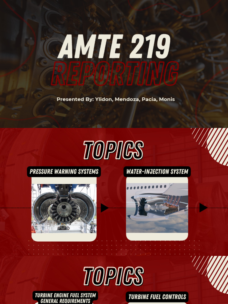 Amte 219 Reporting | PDF