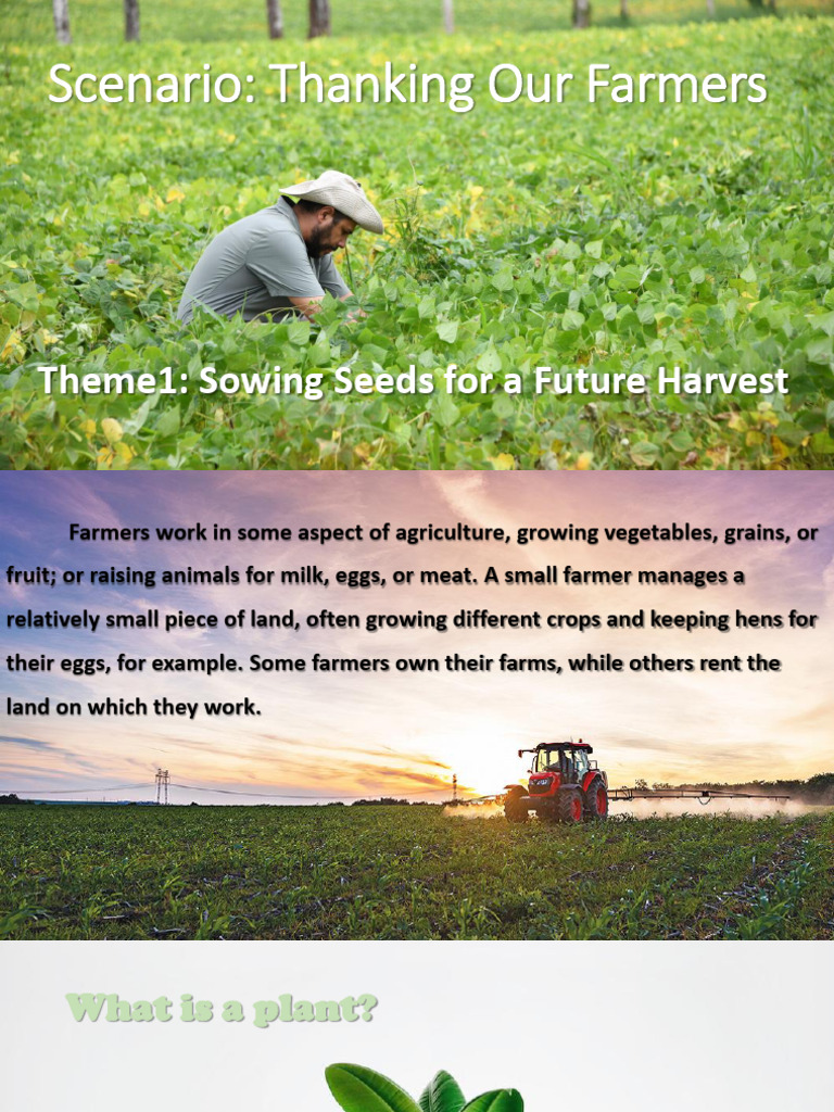 Scenario 3 Thanking Our Farmers | PDF