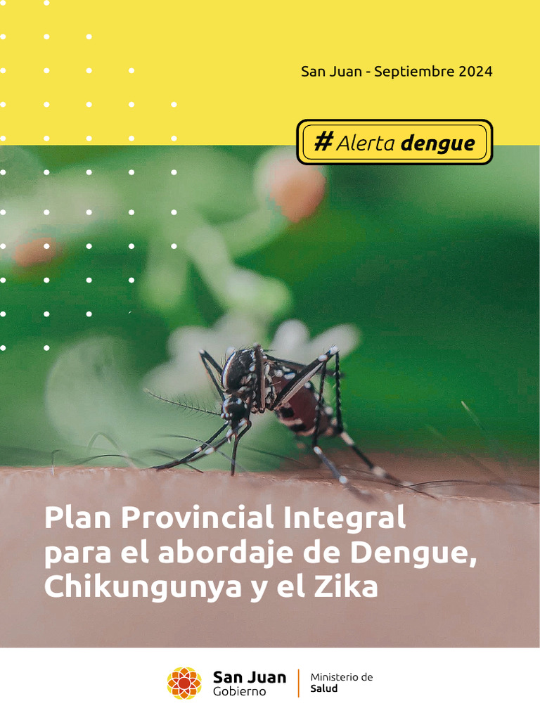 Plan Dengue | PDF