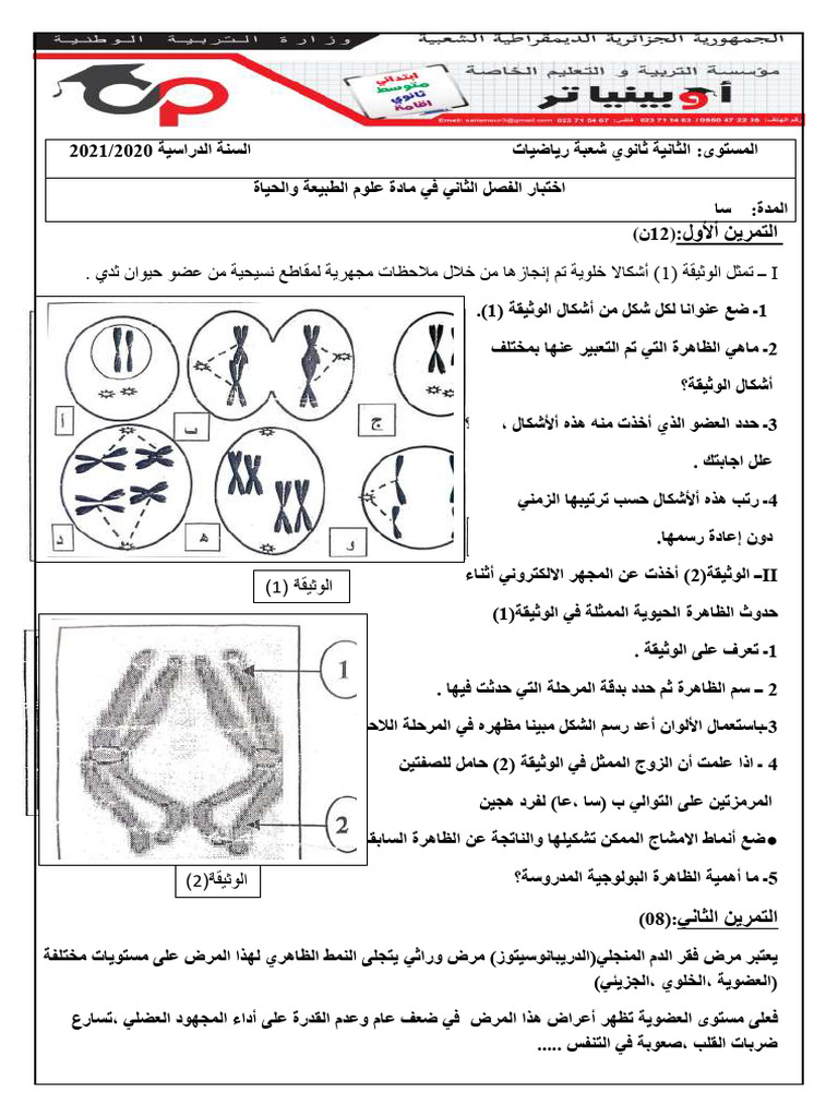 Dzexams 2as Sciences 1325973 | PDF