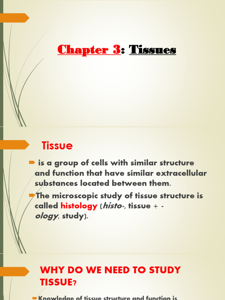 Anaphy Chap. 3 Tissues Updated | PDF