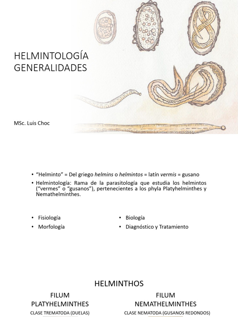 1 Helmintología Generalidades 2022 | PDF