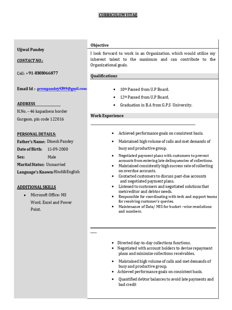 Ujjwal Pandey | PDF | Career & Growth