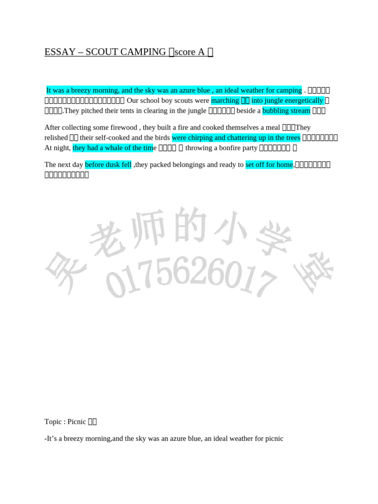 ESSAY-scout Camping | PDF