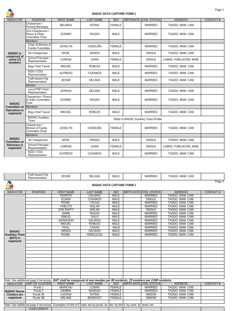 4-Badac Data Capture Forms | PDF