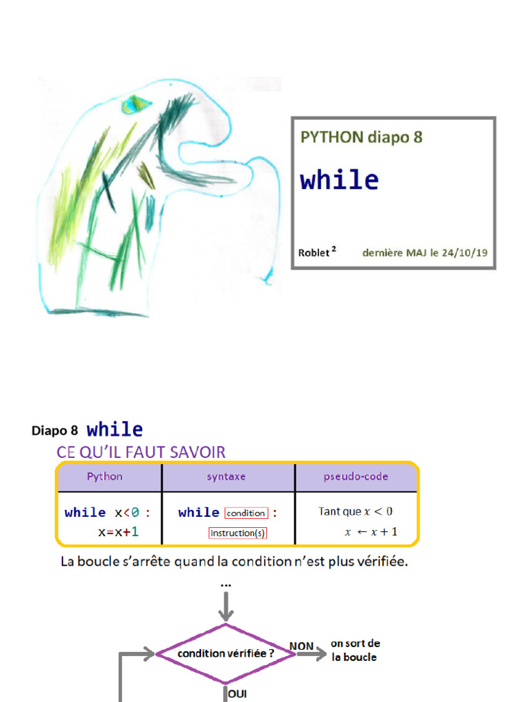 python_diapo_8_while | PDF