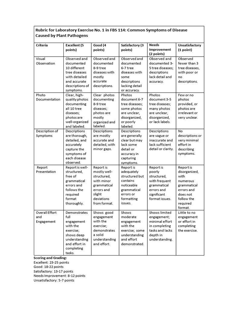Rubric For Lab Exercise #1 in FBS 114 - PDF - 025306 | PDF | Medical ...