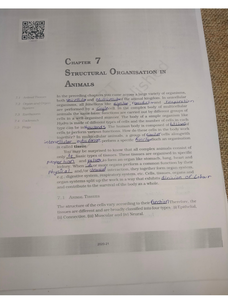 Tissue Cockroach Frog Ncert Fill Ups | PDF