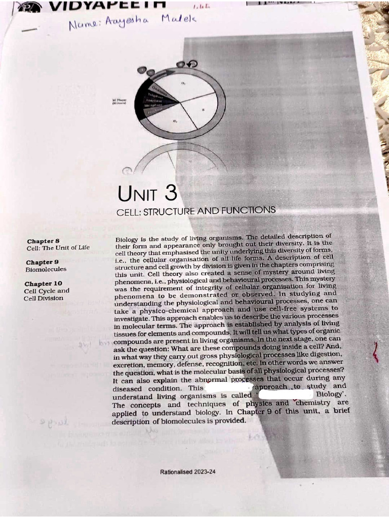 Cell Structure and Division | PDF