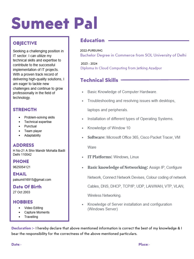 IT Professional Resume: Sumeet Pal | PDF | Computers