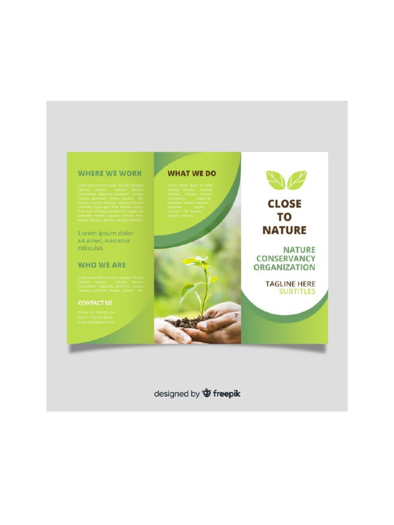 Delfin Bienvenido - Leaflets | PDF